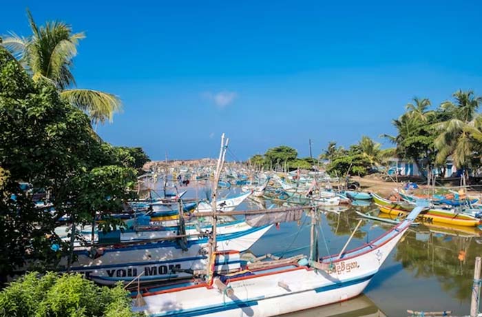 Unify Holidays - Discover the Wonders of Sri Lanka